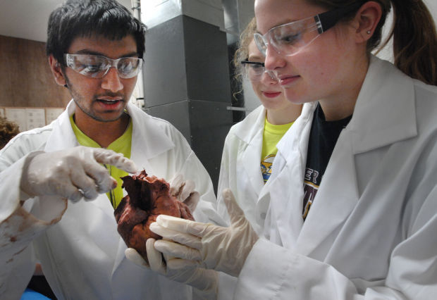 Area high school students learn in 'unique,' new cadaver lab