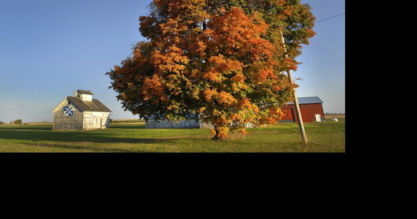 'Glorious' fall colors predicted