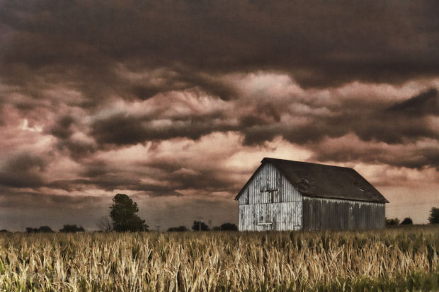 Prairie photographer: ISU business professor captures Midwest beauty