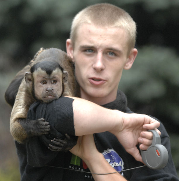 Monkey's owner upset by social media stir | Pets | pantagraph.com