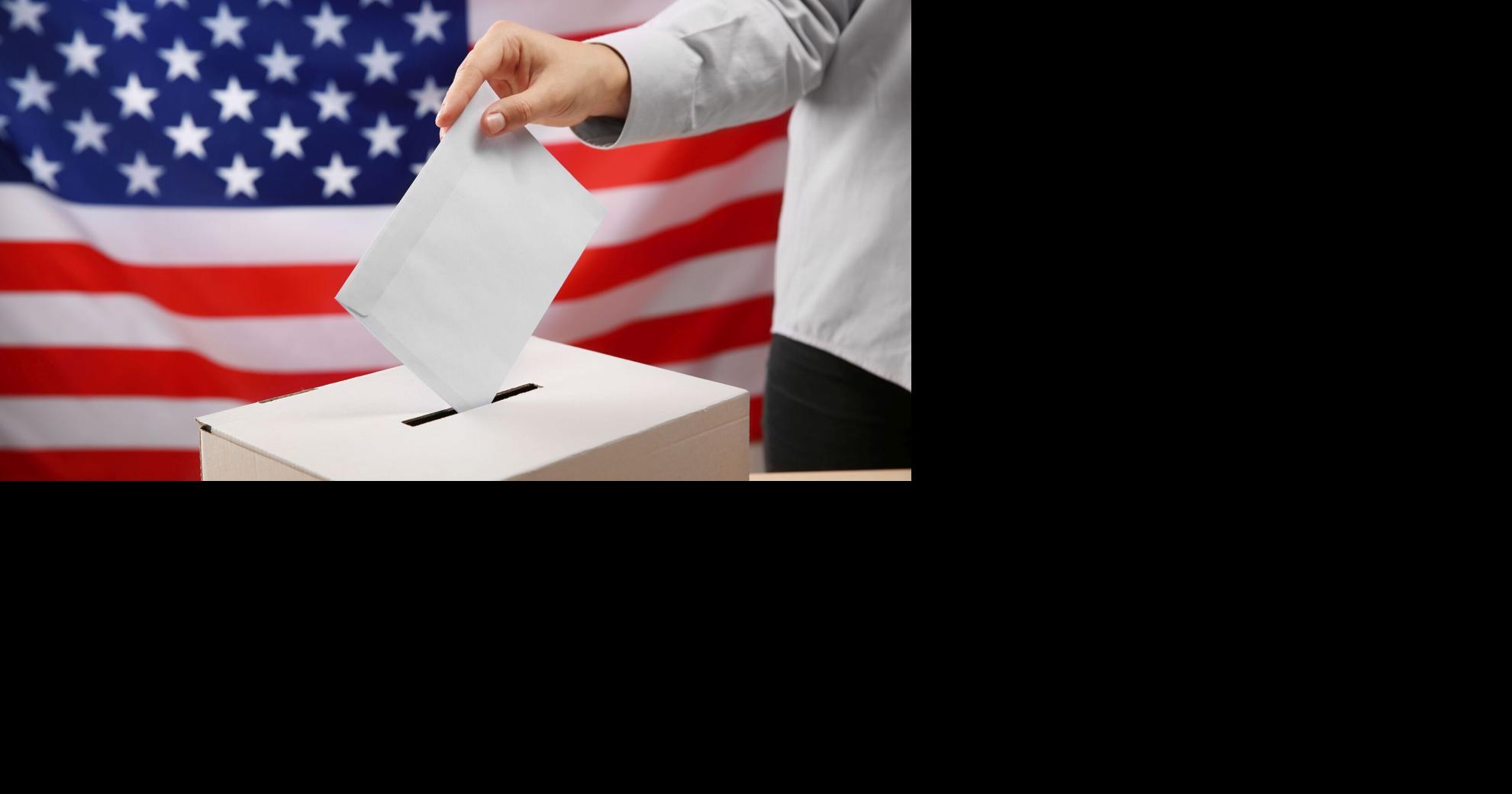 Elizabeth School Board race | Elbert | parkerchronicle.net