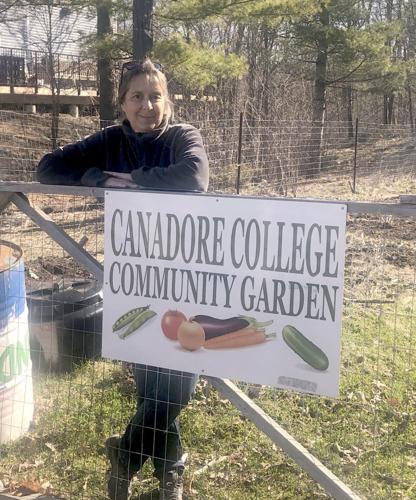 How does your garden grow Parry Sound? Interest in vegetable gardens ...