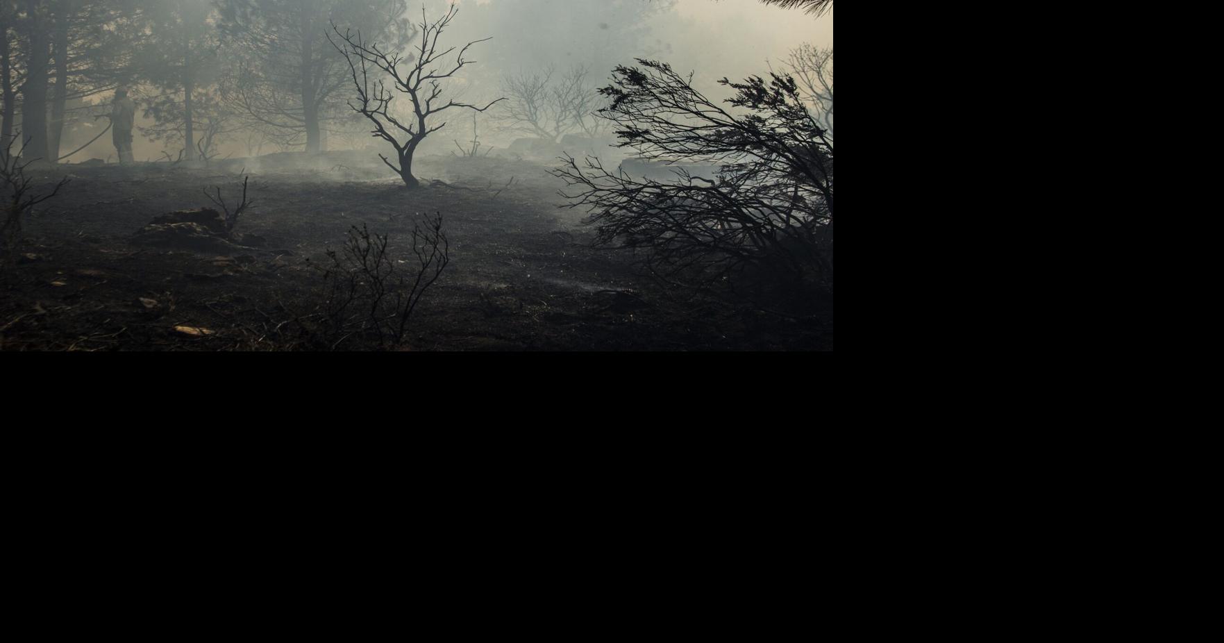 5 facts about forest fires in 2018