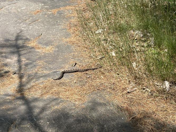 3 things to know before going to Killbear Provincial Park