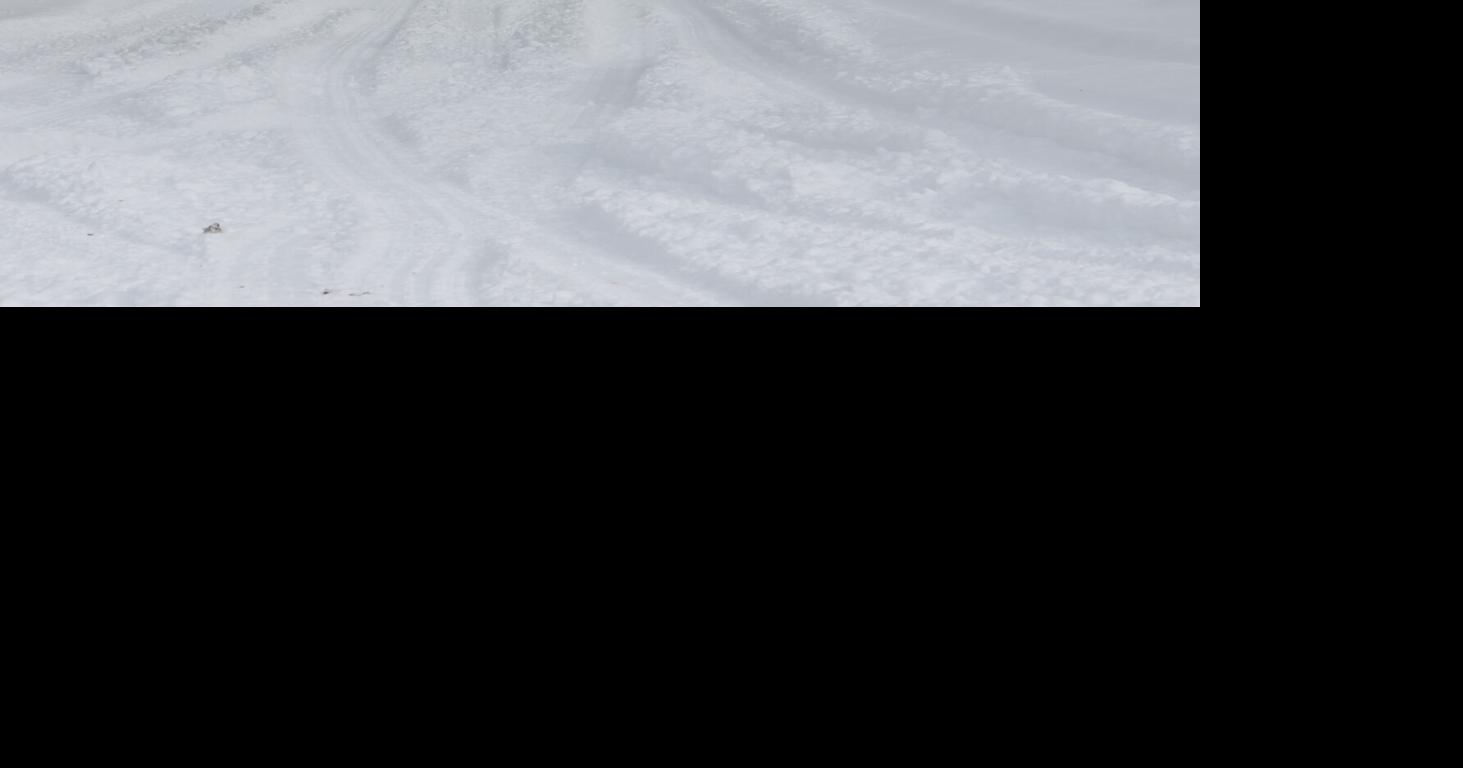 Parry Sound breaks snow records - twice!