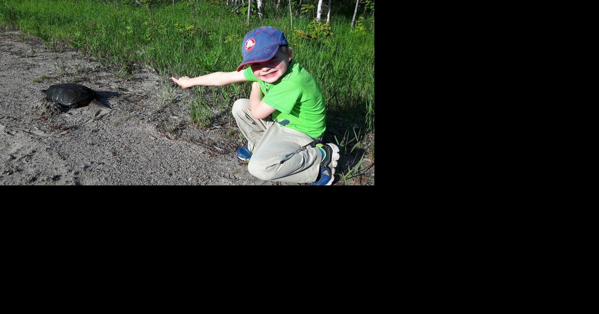 5 things to do in Parry Sound area provincial parks