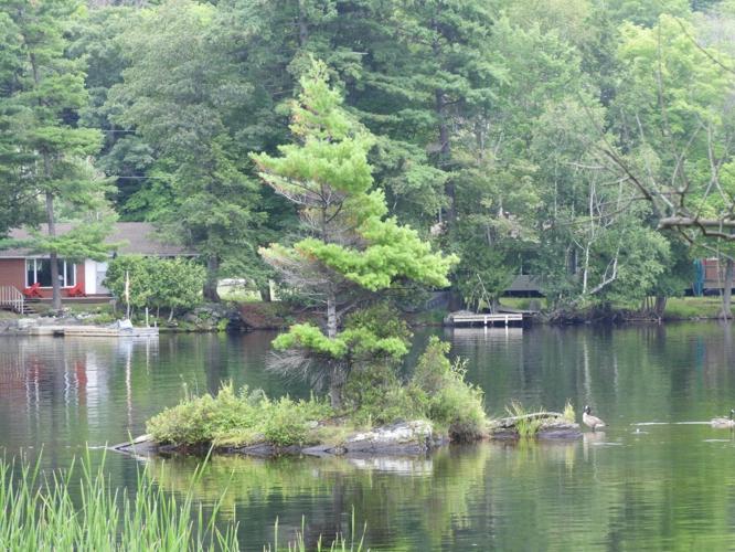 Muskoka, Parry Sound, Almaguin Spring Photo Contest winners