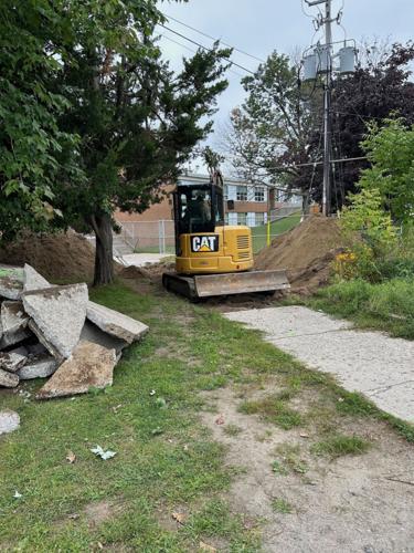 WHAT’S GOING ON HERE? Tree roots close Parry Sound school
