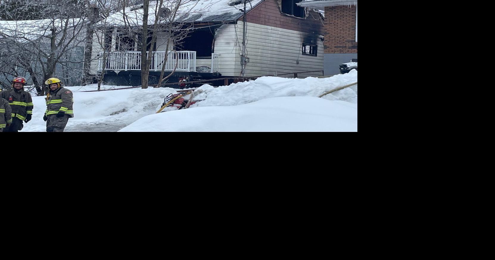 Adult, child, and 1 of 2 dogs escape Parry Sound house fire