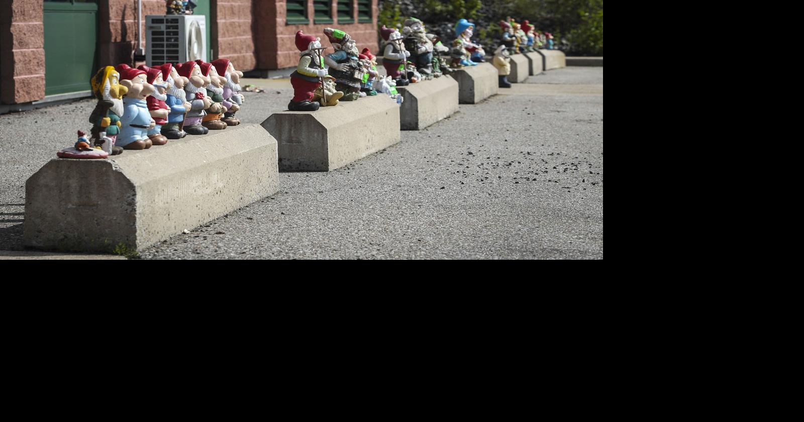Gnomes in police custody