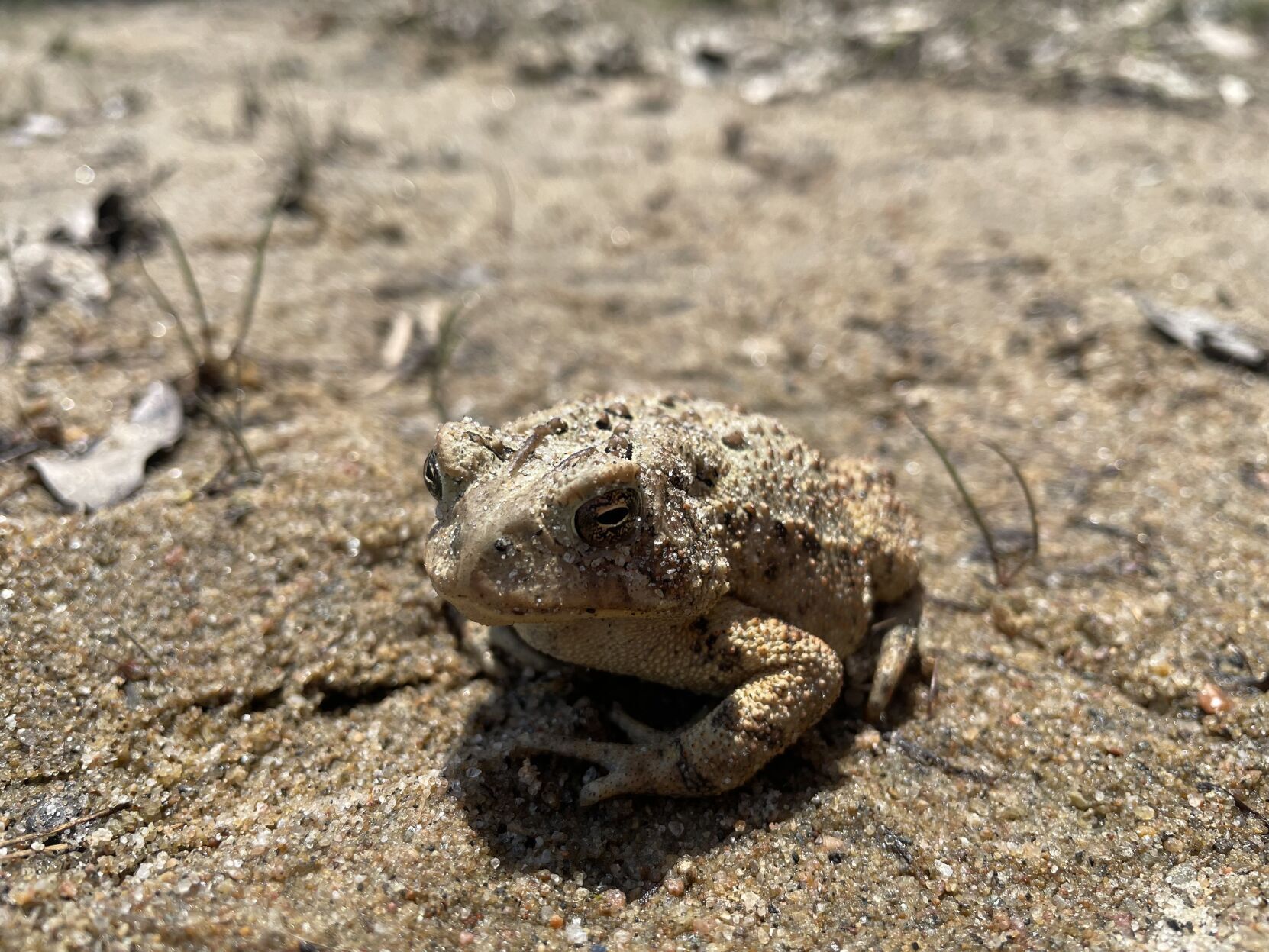 3 things to know before going to Killbear Provincial Park