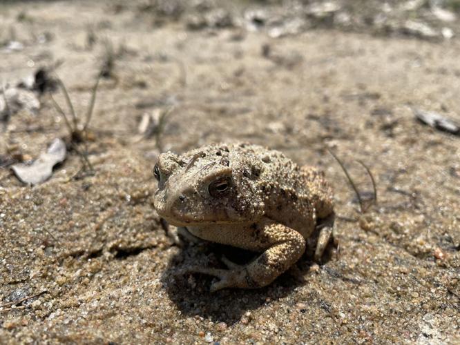 3 things to know before going to Killbear Provincial Park