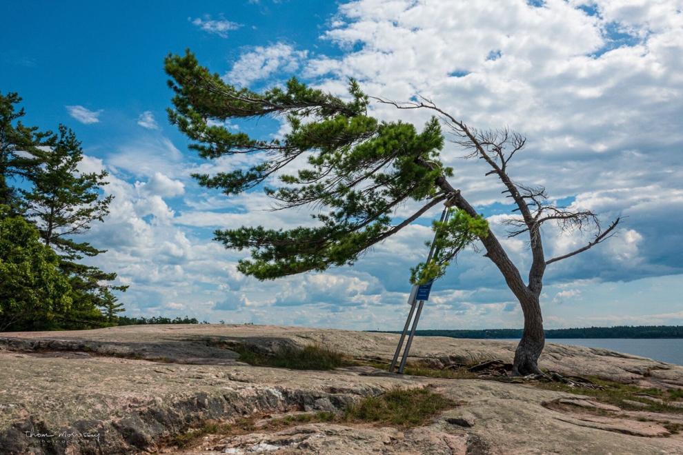 3 things to know before going to Killbear Provincial Park