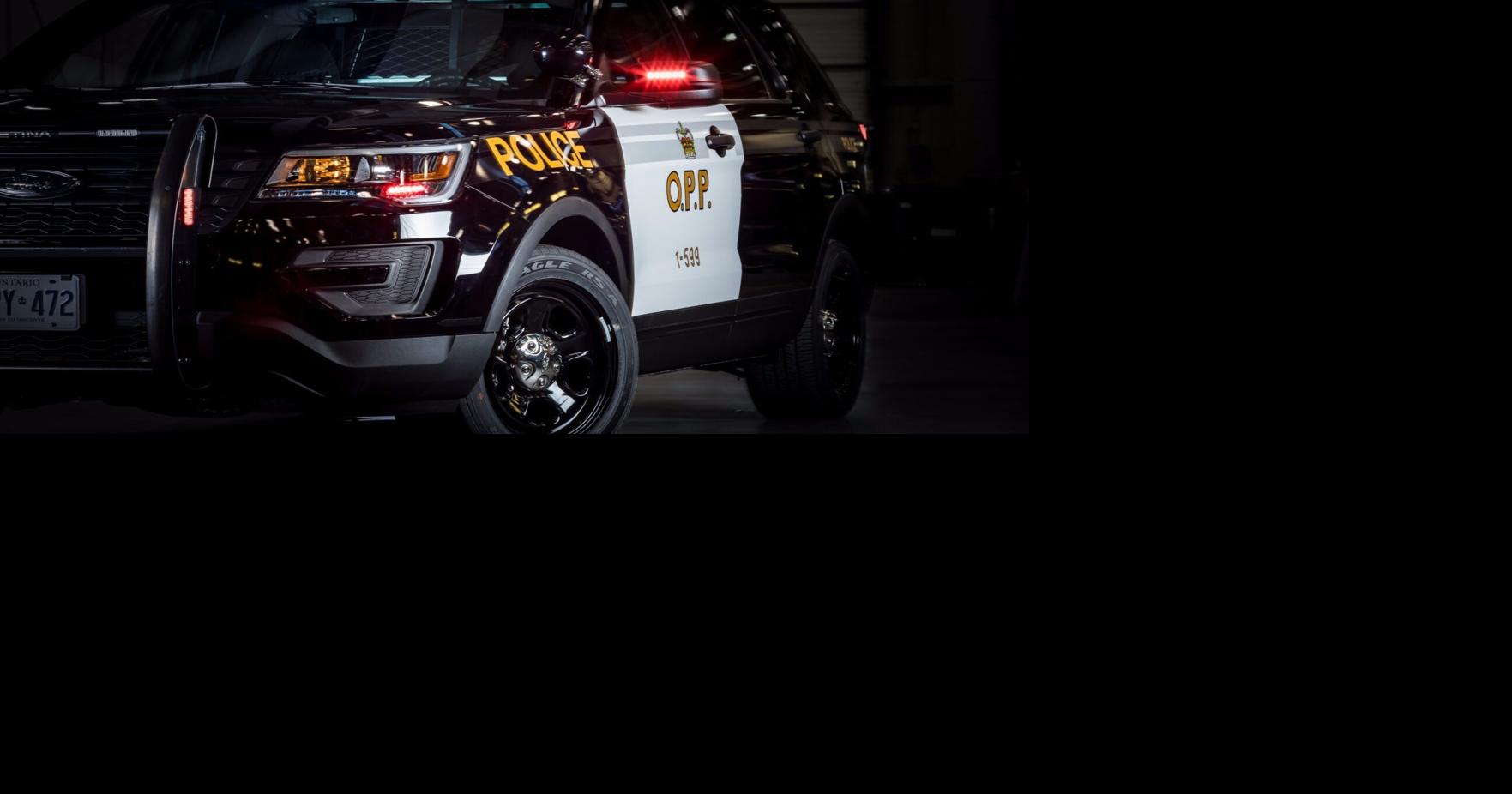 Two Parry Sound officers injured during arrest on sexual assault charge