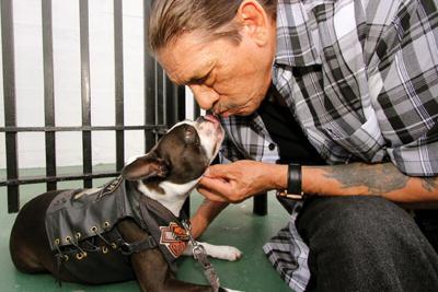 Actor Danny Trejo joins animal heroes on Lucy Pet Foundation float ...
