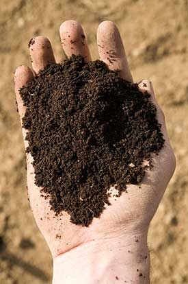 The value of dirt | Home | pasadenaweekly.com