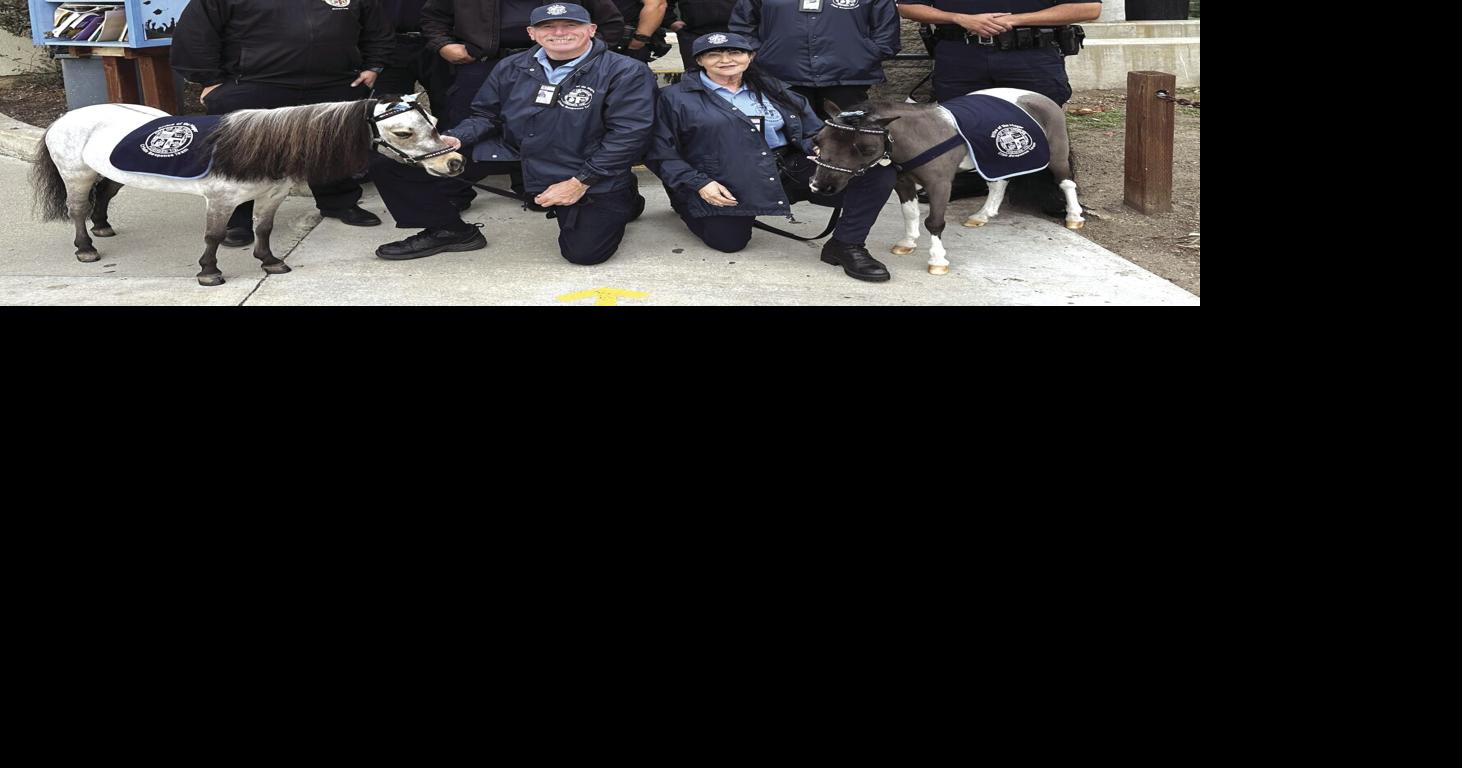 Hooved Angels: Mini Therapy Horses brings comfort to Rose Parade ...