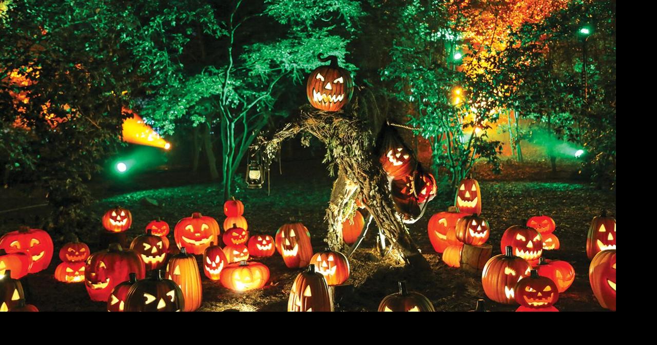 Fall into the Arts: Explore events and relish in the changing seasons ...