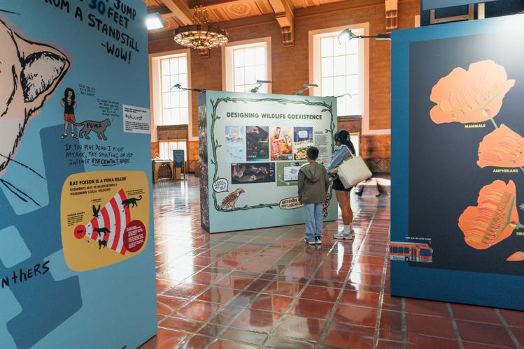 ‘LA on the Move’: Union Station exhibition turns wildlife data into art ...