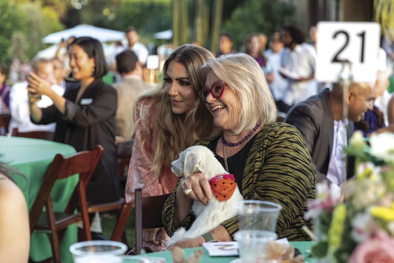 Sip, Savor, Celebrate: AbilityFirst hosts its 50th food and wine festival | Feature Stories ...