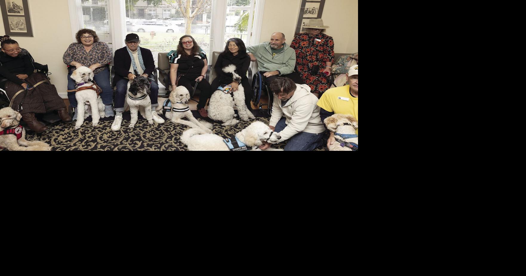 Service Dogs Save the Day: Standard poodles are setting the standard ...