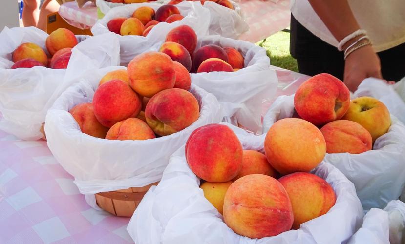 Local peach farms prepare for upcoming Stratford Peach Festival ...