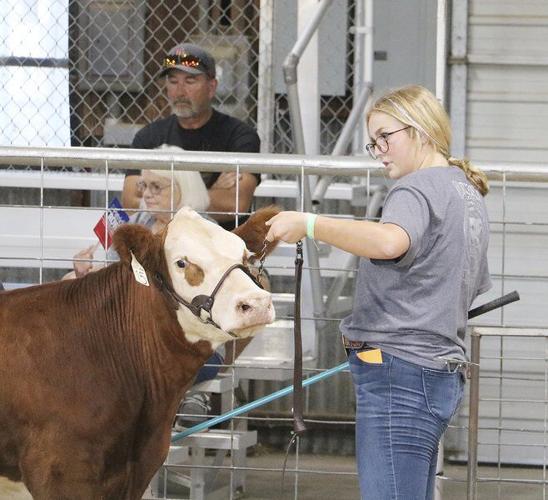 Garvin County Fair | Local News | paulsvalleydailydemocrat.com