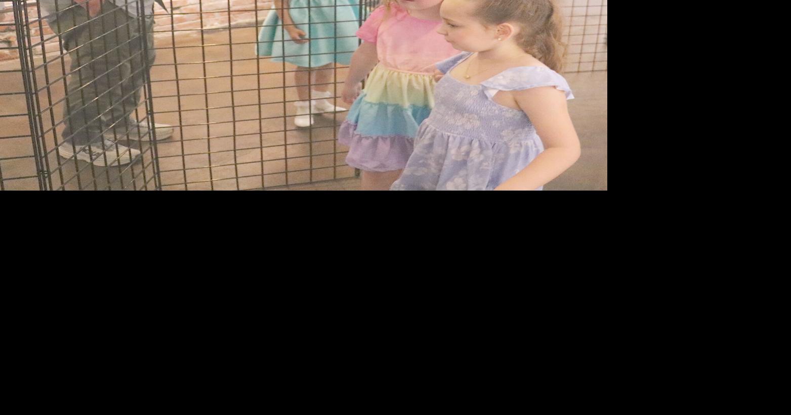 Whitebead first graders get creative | Local News ...