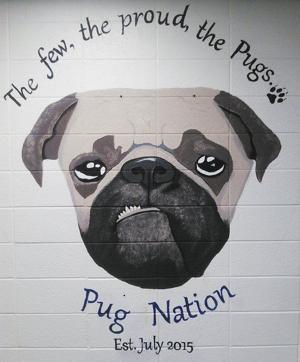 There can be only one Pug | Community | paulsvalleydailydemocrat.com