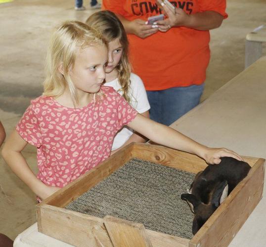 Garvin County Fair | Local News | paulsvalleydailydemocrat.com