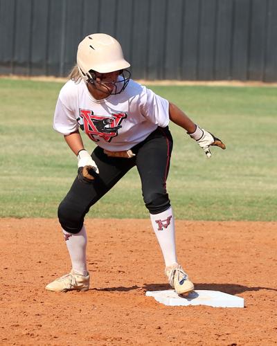 Lady Panthers fall in late innings to Sulphur | Local Sports ...