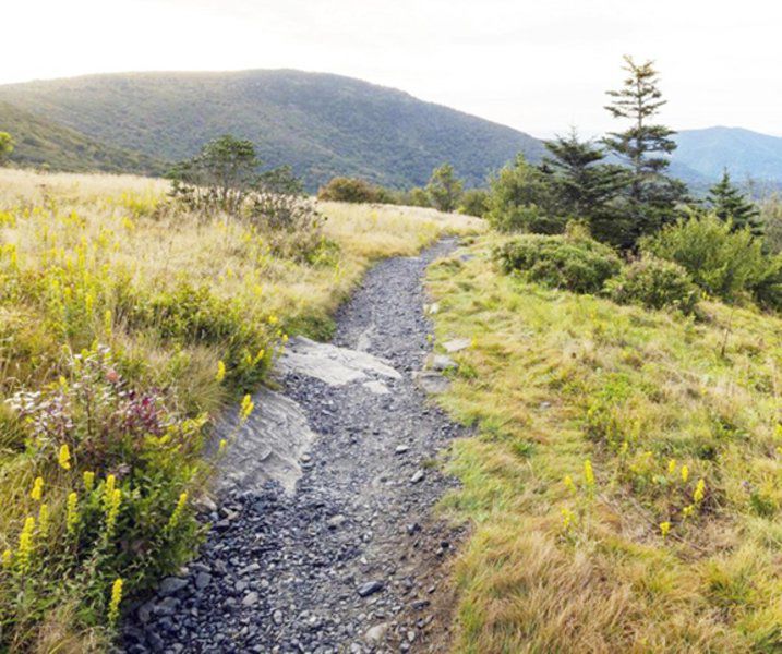 Long hike to finish line | Local News | paulsvalleydailydemocrat.com