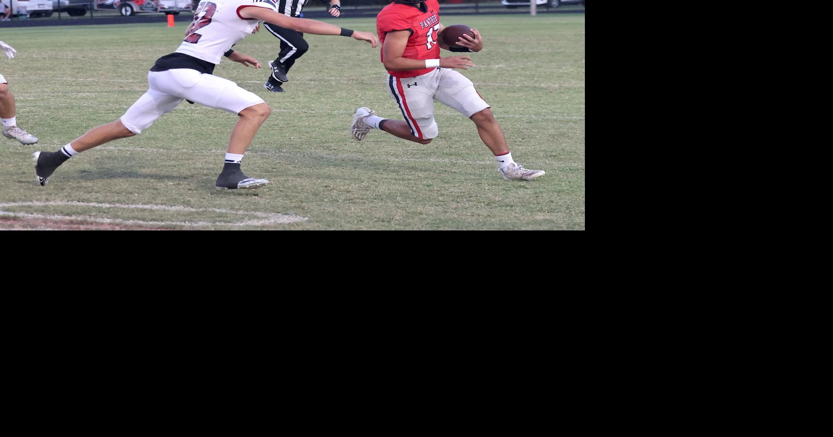 Panthers fall in 3A-1 matchup with Plainview | Local Sports ...