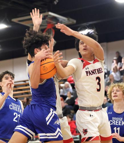 Panthers win battle of top 20 clubs | Local Sports ...