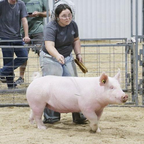 Garvin County Fair | Local News | paulsvalleydailydemocrat.com