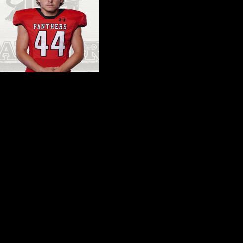 Panthers earn All-District honors | Local Sports ...