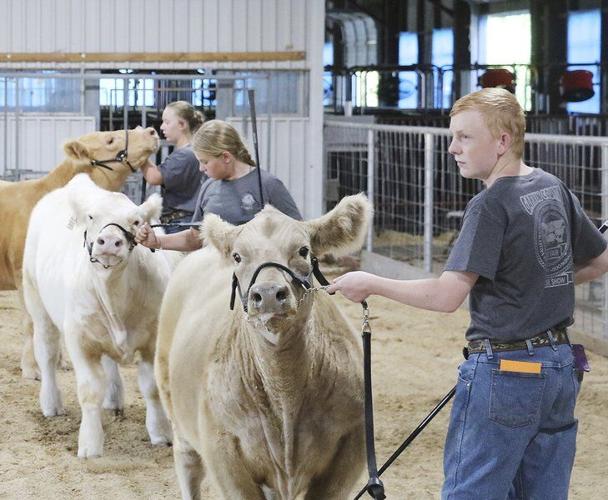 Garvin County Fair | Local News | paulsvalleydailydemocrat.com