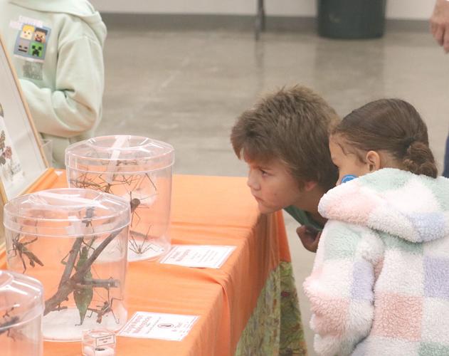 Insects a part of county fair reflections | Local News ...