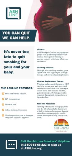 Tiny house village gets a no from commission | Local News ...