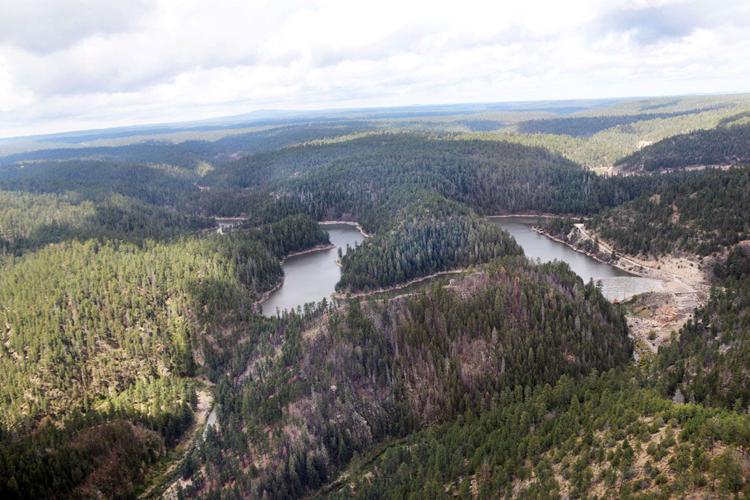 Saving the C.C. Cragin watershed | Forest Management Wildfires ...