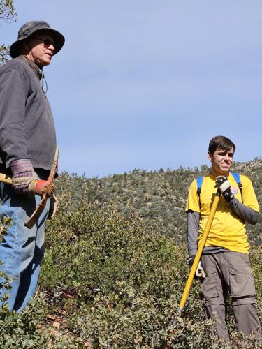 Pine Strawberry Fuel Reduction trail team helps future Eagle Scout ...