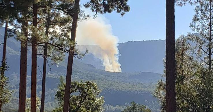 Crews respond to fire above Horton Springs | Forest Management ...