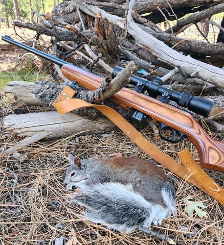 Squirrel hunting perfect on a calm, sunny day | 260 Connection ...