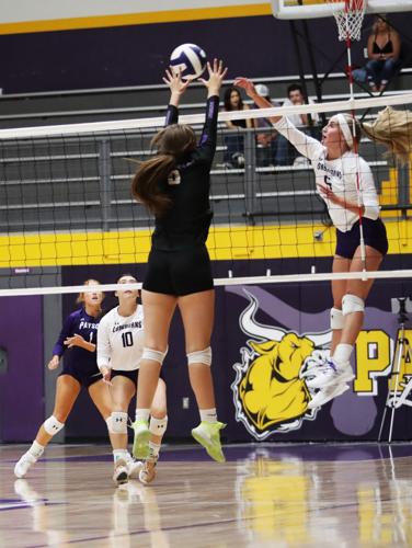 Spikers battle mighty NWC in opener | Arts & Entertainment ...