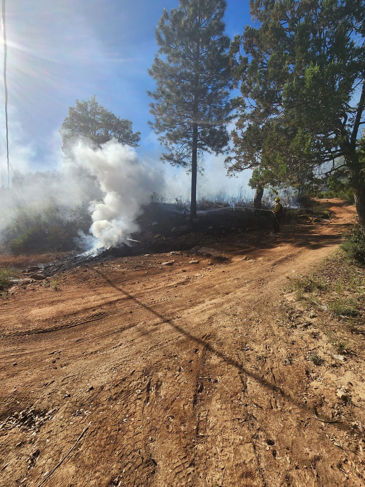 Strawberry man arrested for setting fires, GCSO says | Crime Law ...