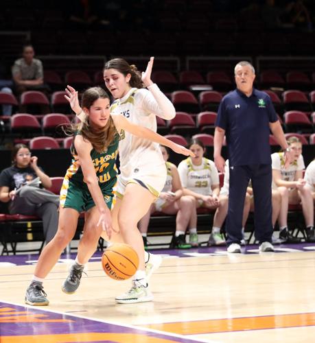 Show Low girls basketball wins another tourney, improves to 14-0 ...