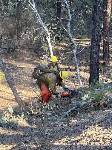 Horton Fire tamed by backfires and firefighters | Forest Closures Fire ...