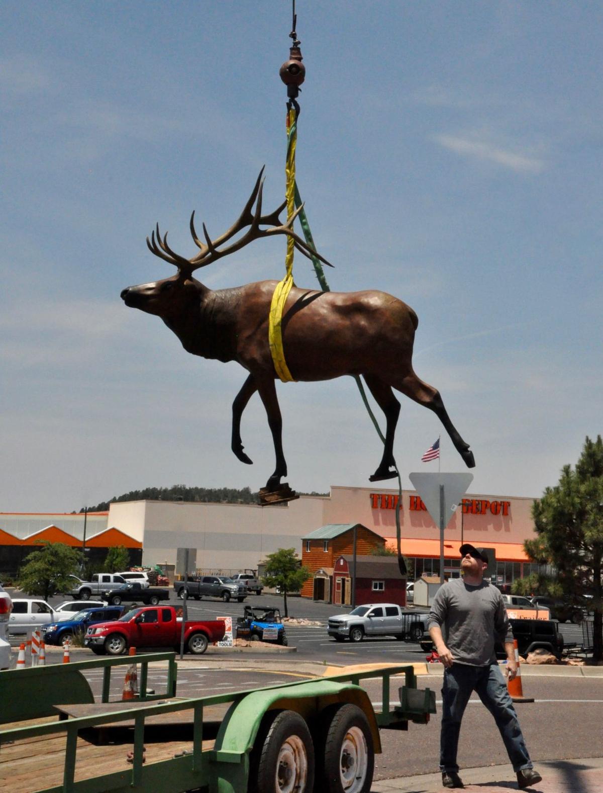 Elk makes an impressive entrance to Payson | Payson | paysonroundup.com
