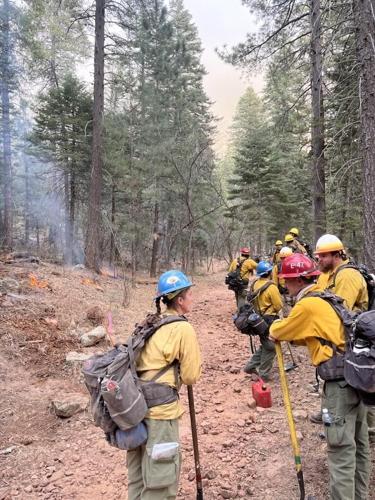 Horton Fire tamed by backfires and firefighters | Forest Closures Fire ...