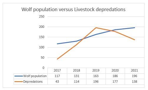 Gray wolves stalked by lawsuits | Outdoors | paysonroundup.com